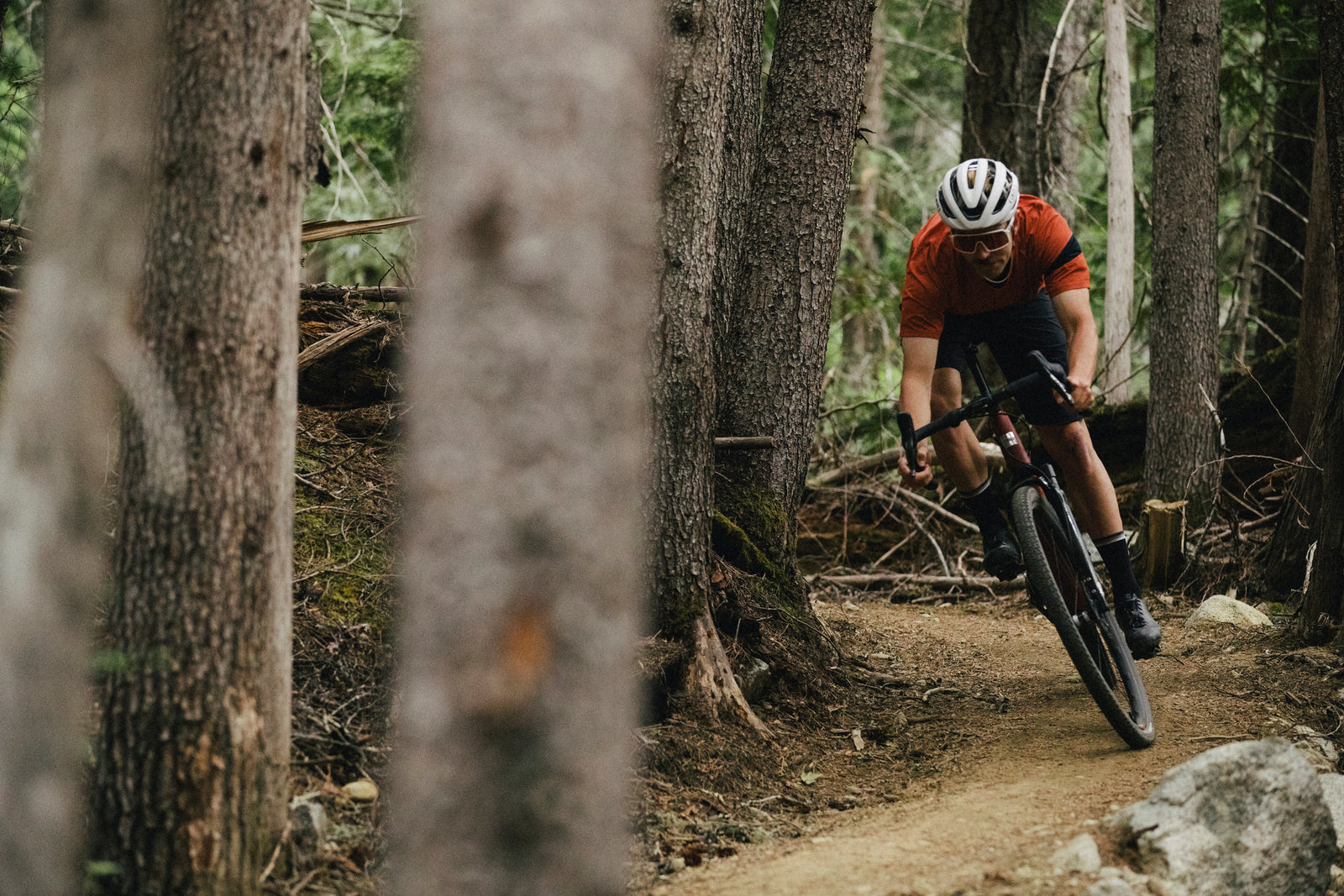 Stigmata – Santa Cruz Bicycles